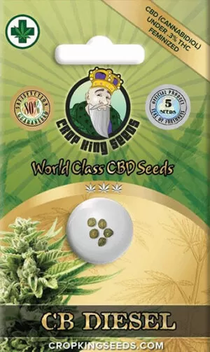 AJ’s Sour Diesel Strain Feminized Seeds - Crop King Seeds