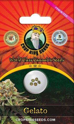Marijuana Seeds USA | Cannabis Seeds | Crop King Seeds