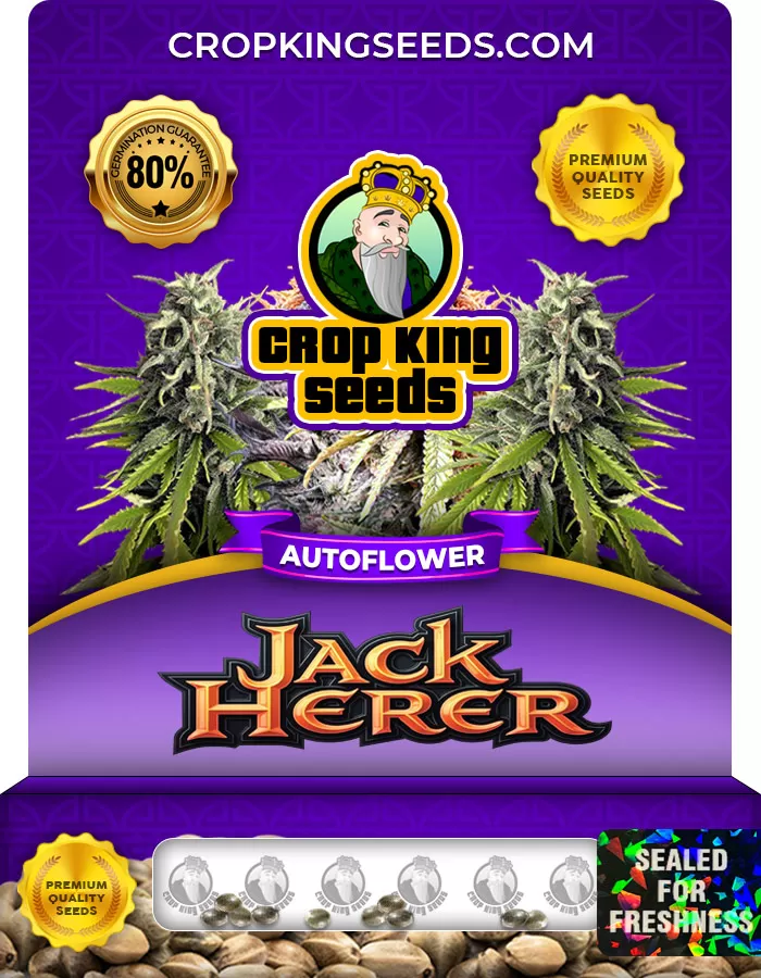 Buy Cannabis Seeds Online in the USA | Crop King Seeds