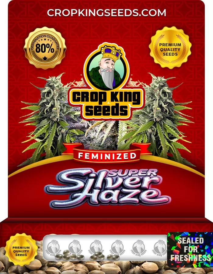 Rare Dankness Feminized Seeds | Crop King Seeds