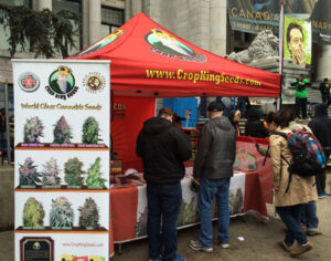 About Us | Crop King Seeds | Crop King Seeds