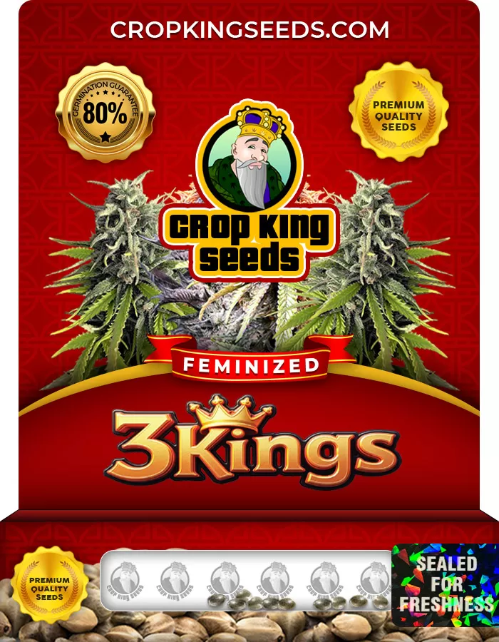 3 Kings Feminized Seeds - Citrus & Diesel | 16% THC