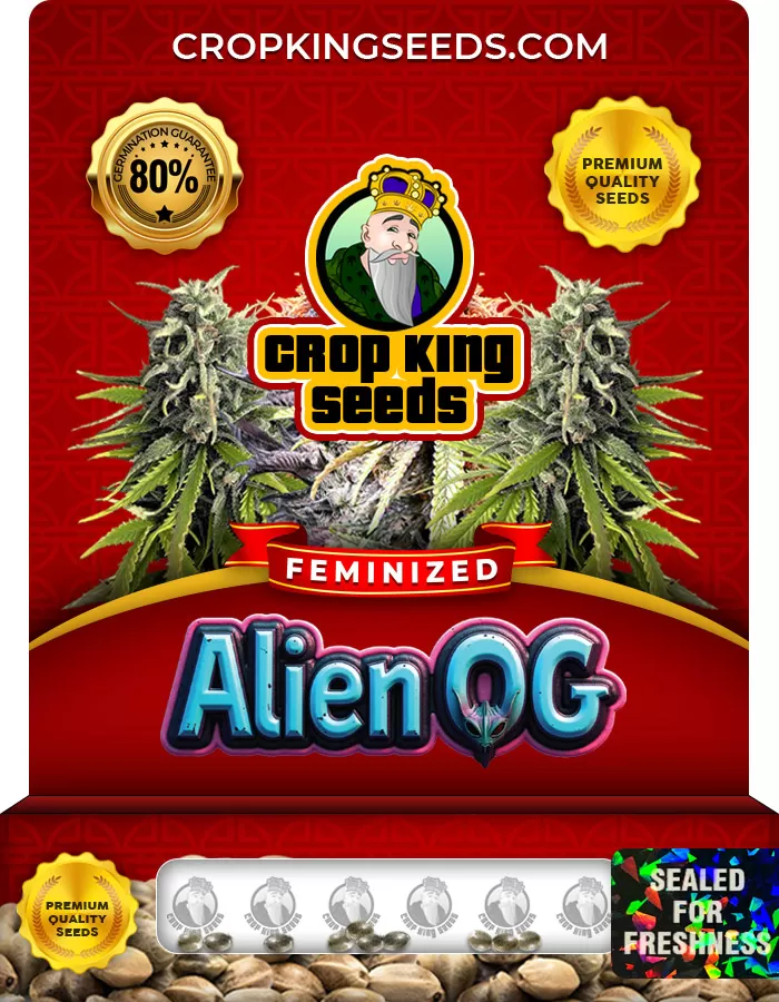 Alien OG Feminized Marijuana Seeds | Crop King Seeds