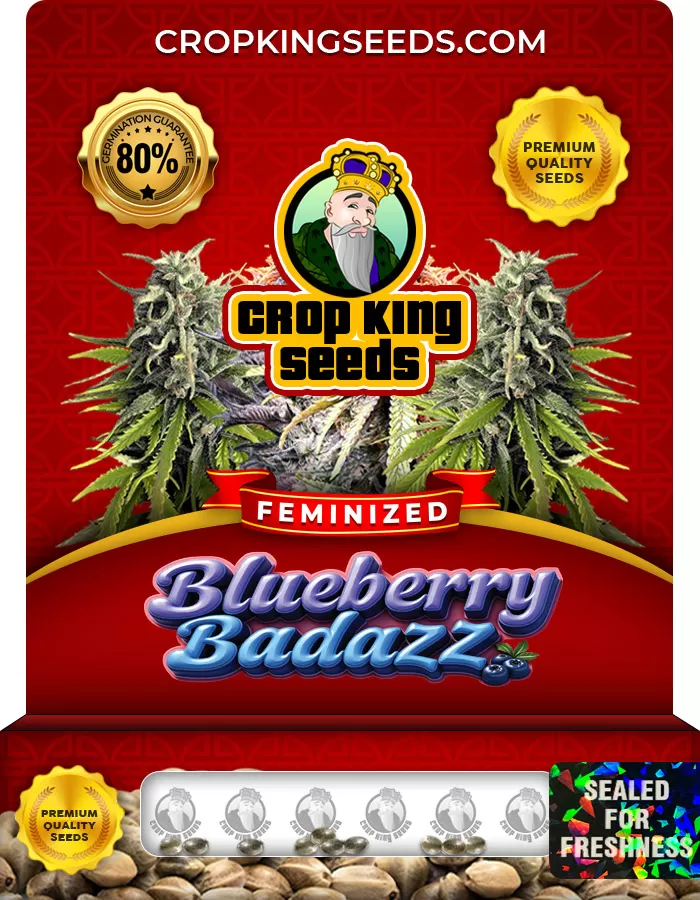 Blueberry Badazz OG Feminized Marijuana Seeds | Crop King Seeds