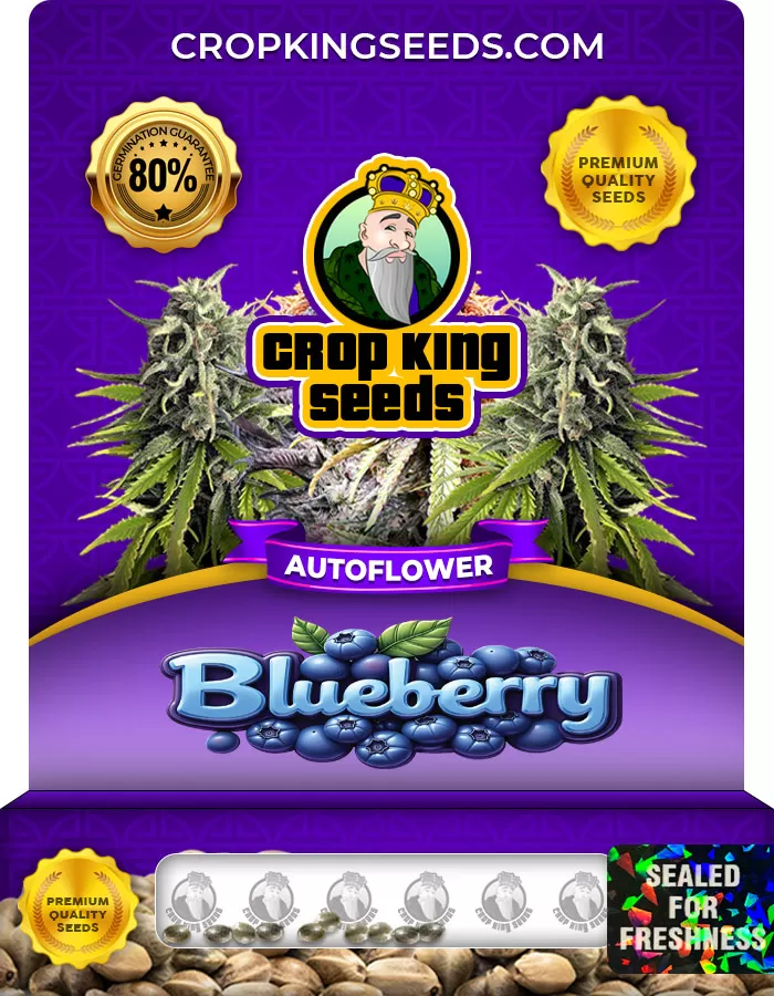 Lowryder Autoflower Seeds – 12–15% THC | Easy, Fast Growing