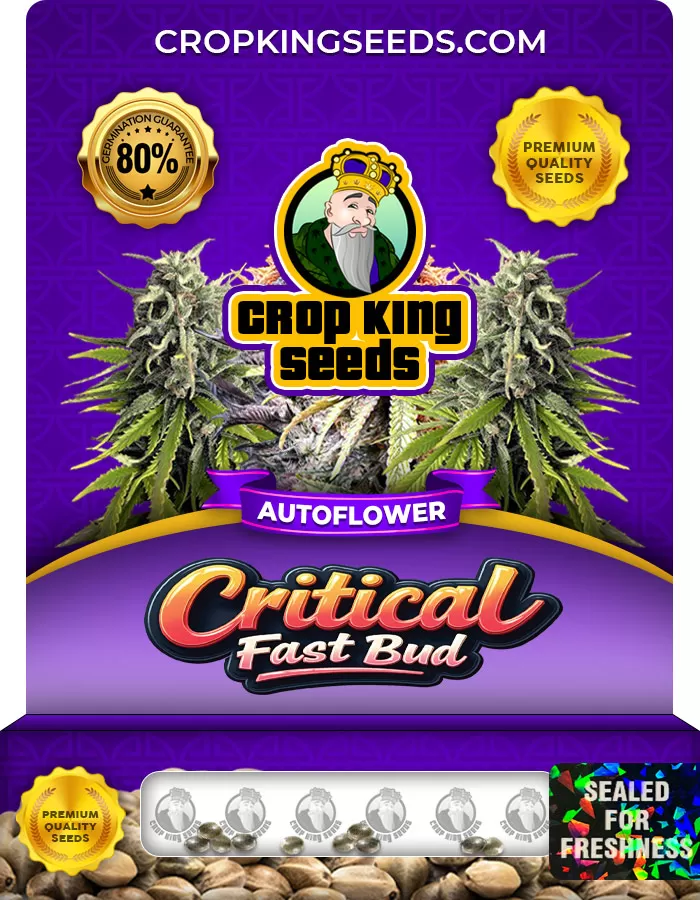 Critical Fast Bud Autoflower Seeds – Quick 8–10‑Week Harvest | 15% THC