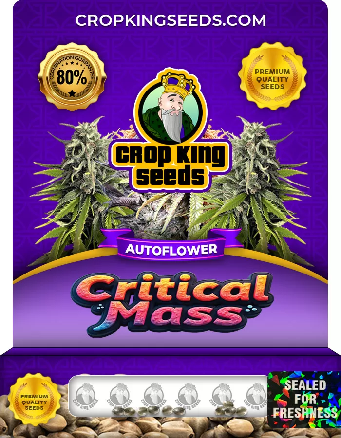 Critical Mass Autoflower Seeds – Fast, High‑Yielding | 18–22% THC