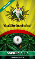 Buy Alien OG Marijuana Seeds Online | Crop King Seeds