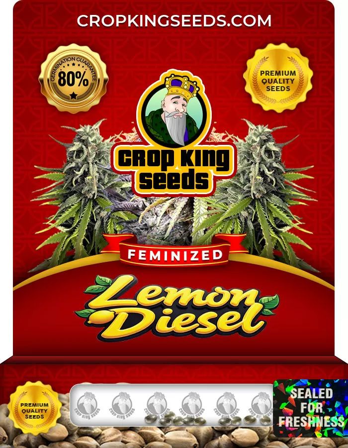 Lemon Diesel Feminized Marijuana Seeds | Crop King Seeds