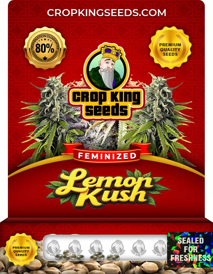 Lemon Kush Feminized Marijuana Seeds | Crop King Seeds