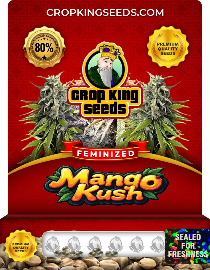 Mango Kush Feminized Seeds – Tropically Sweet Indica Hybrid | 11–20% THC