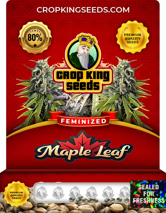Maple Leaf Feminized Marijuana Seeds | Crop King Seeds
