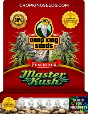 Master Kush Feminized Marijuana Seeds | Crop King Seeds