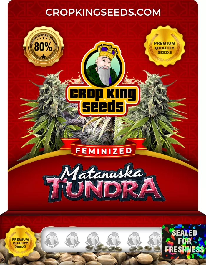 Matanuska Tundra Feminized Marijuana Seeds | Crop King Seeds