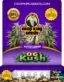 OG Kush Autoflower Seeds – Fast 20–24 % THC | Easy Grow