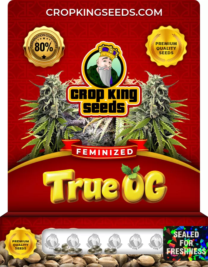 Buy Feminized Mix Strain Cannabis Seeds | Crop King Seeds