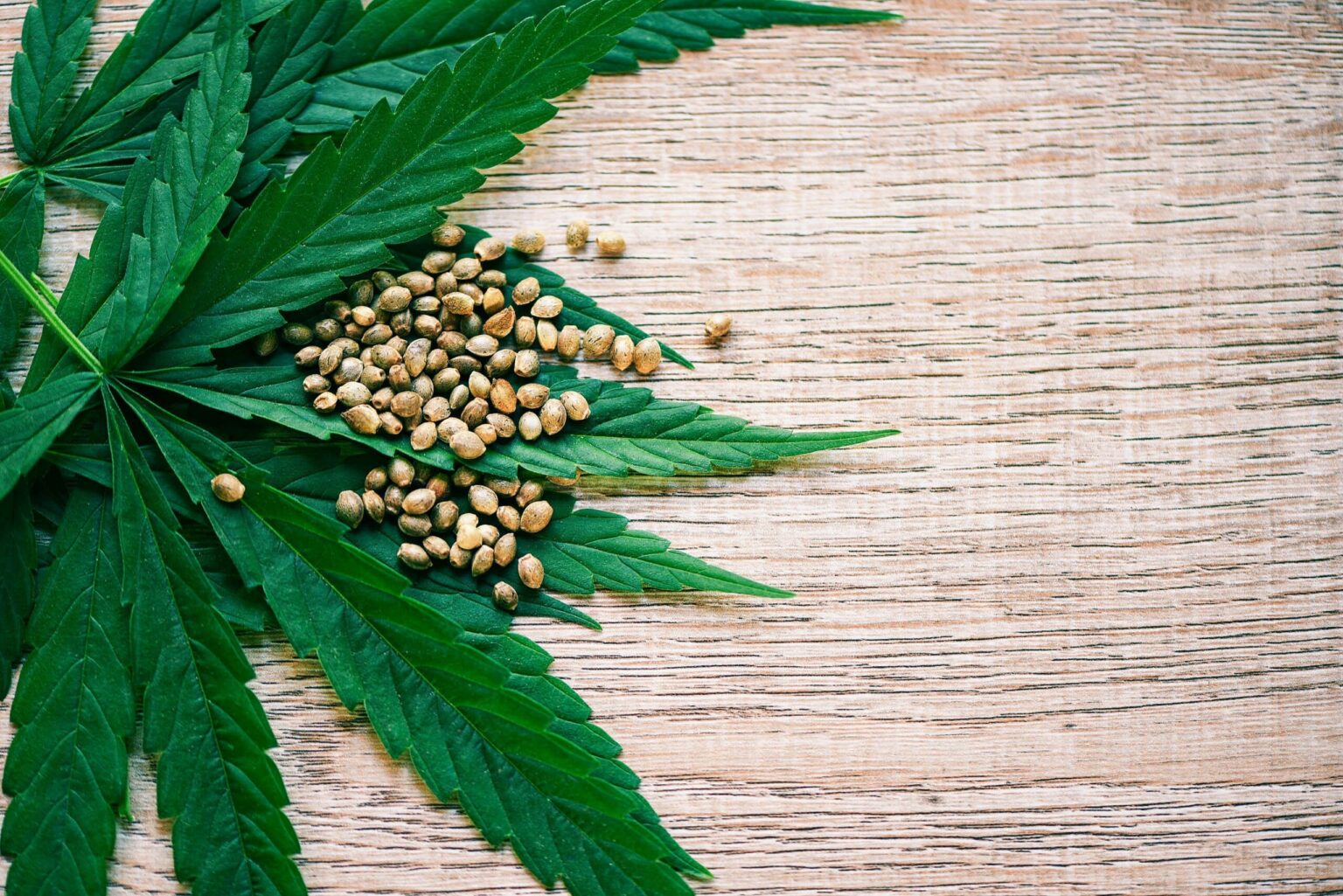 Crop King Seeds Review 2021 | Crop King Seeds