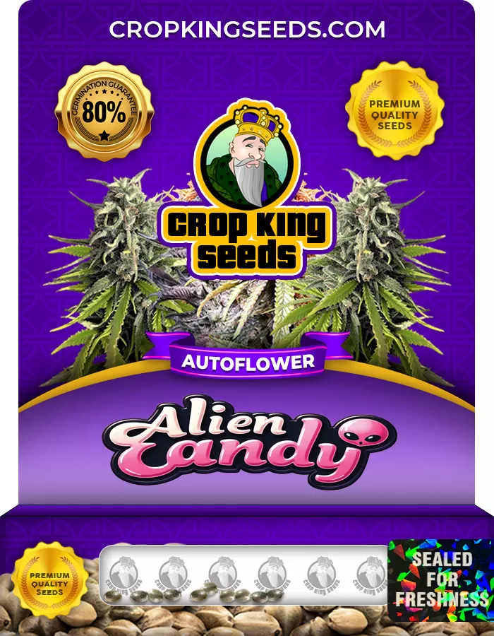 Alien Candy Autoflower Seeds – Fast 8‑10 wk Harvest | 15–19 % THC