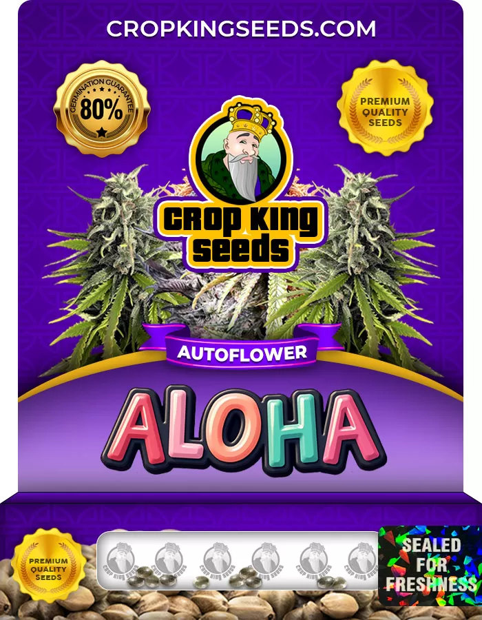 Aloha Autoflower Seeds – Tropical Sativa | 18–24% THC