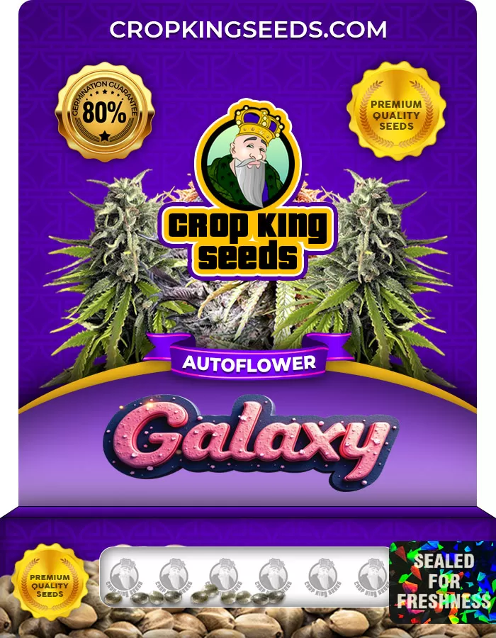 Galaxy Autoflower Seeds – Resinous & Easy | 15–20% THC