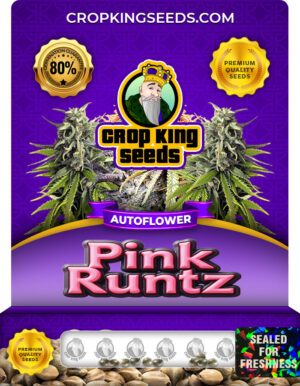 Pink Runtz Autoflowering Seeds – Balanced Fruct ­23‑25% THC