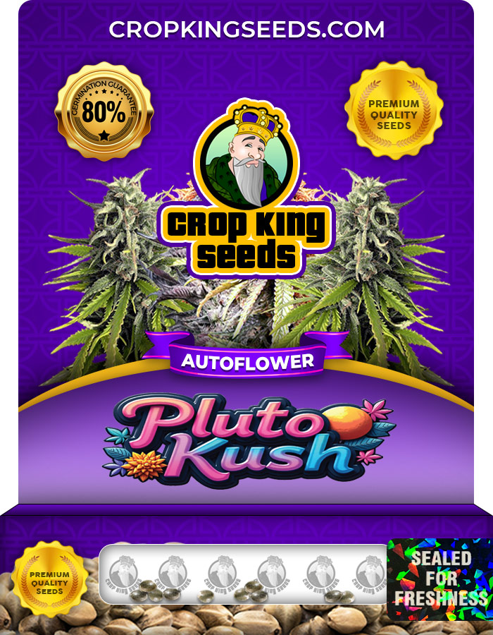 Buy Tuna Kush Regular Marijuana Seeds | Crop King Seeds
