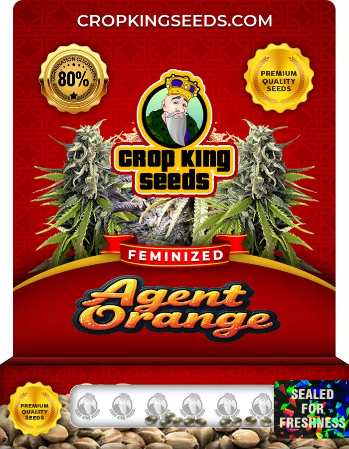 Agent Orange Feminized Marijuana Seeds | Crop King Seeds