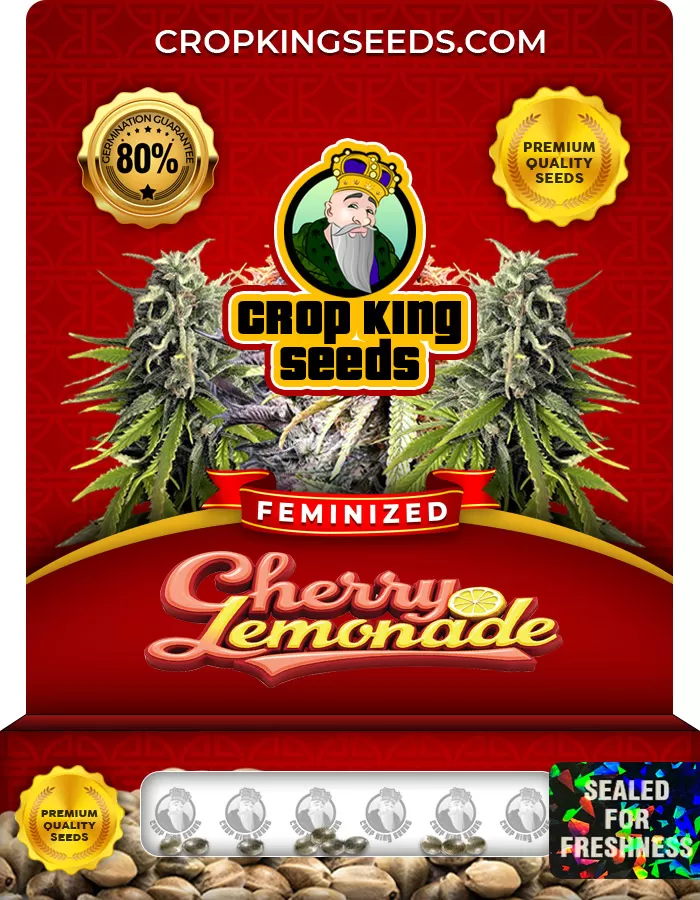Cherry Lemonade Feminized Marijuana Seeds | Crop King Seeds