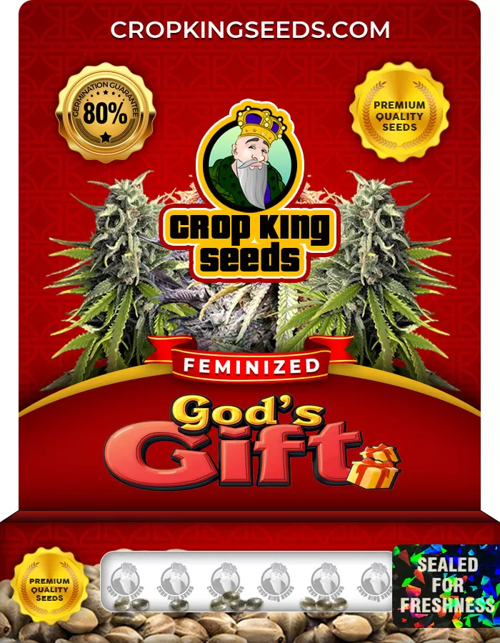 God's Gift Feminized Marijuana Seeds | Crop King Seeds