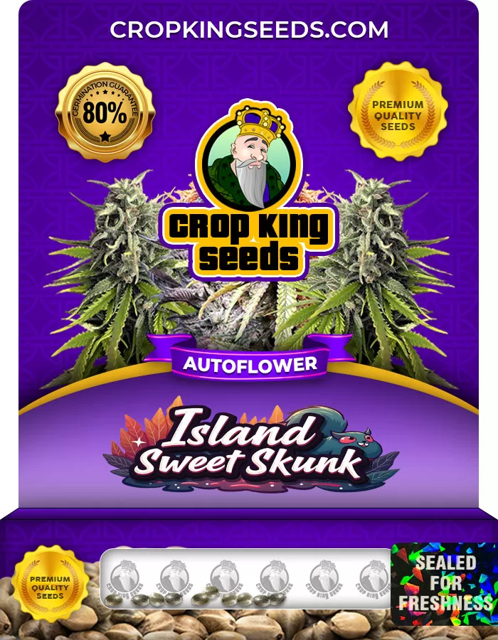 Island Sweet Skunk Autoflower Seeds – Fast 7–9 weeks, 16–25% THC