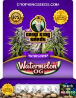 Watermelon OG Autoflower Seeds – Fast Fruit‑Flavor | 14% THC