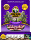 Watermelon OG Autoflower Seeds – Fast Fruit‑Flavor | 14% THC