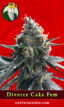 Buy Divorce Cake Strain Feminized Marijuana Seeds | Crop King Seeds