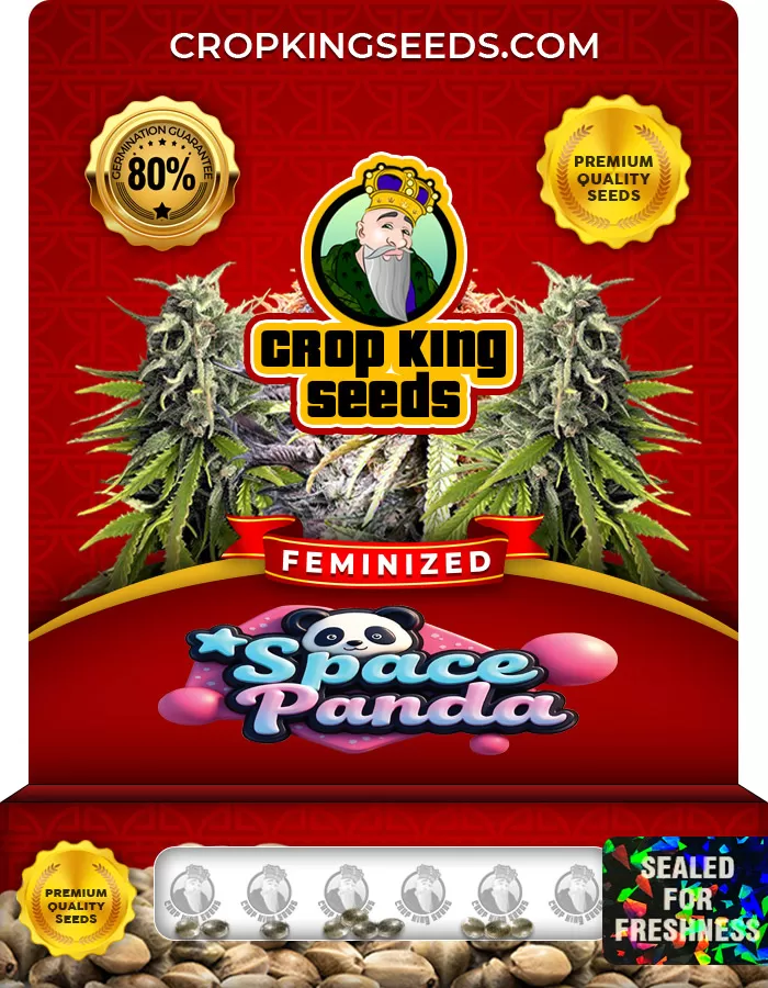 Space Panda Strain Feminized Marijuana Seeds | Crop King Seeds