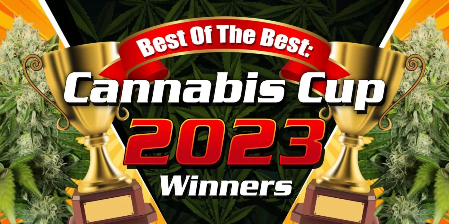 Best Of The Best: Cannabis Cup 2023 Winners | Crop King Seeds