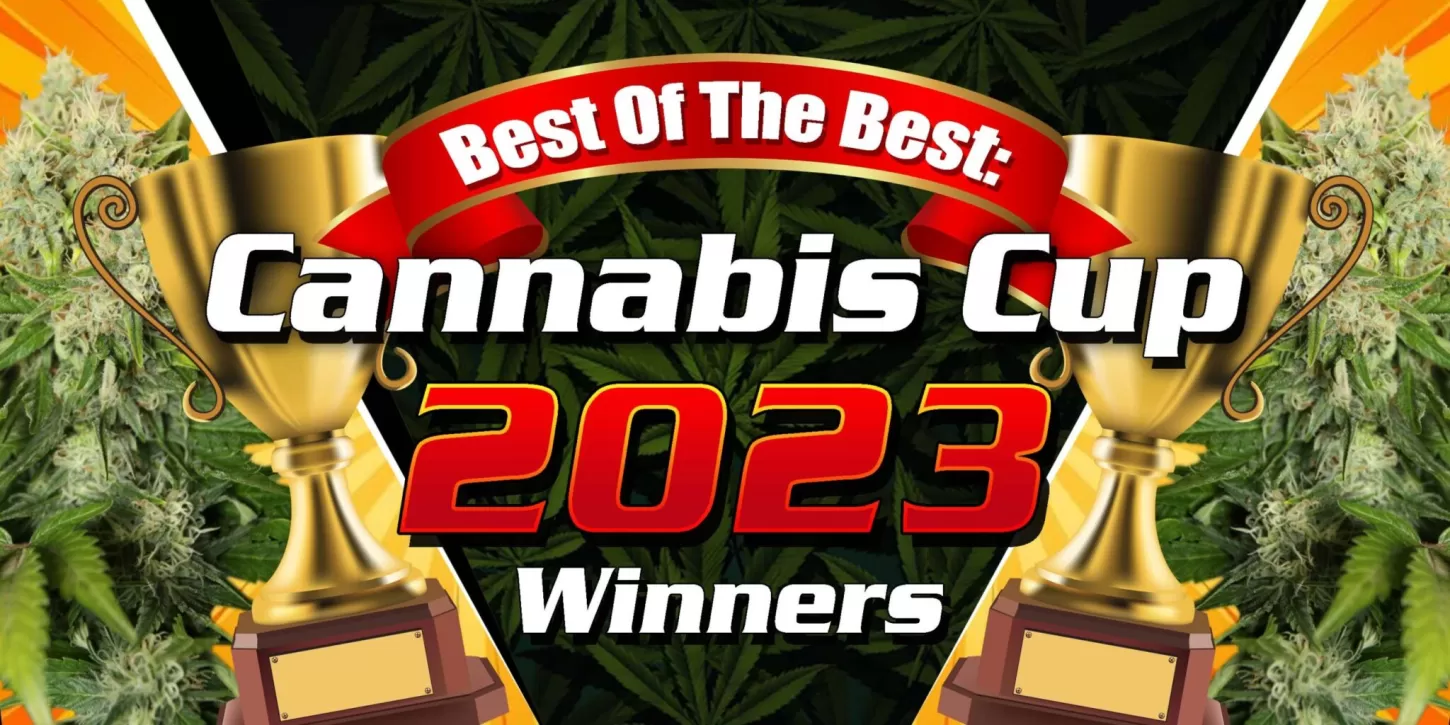 Best Of The Best: Cannabis Cup 2023 Winners | Crop King Seeds