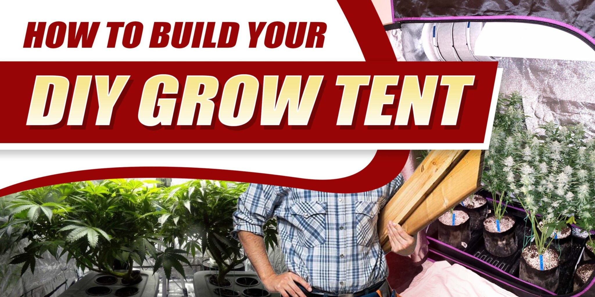 How To Build Your DIY Grow Tent | Crop King Seeds