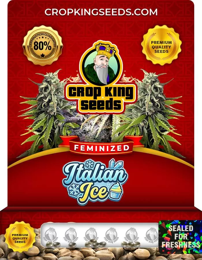 Buy Italian Ice Strain Feminized Marijuana Seeds | Crop King Seeds