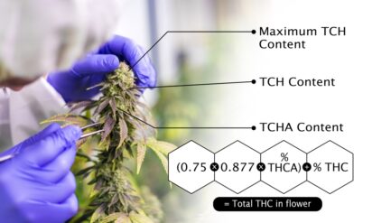 How To Test THC Levels on Weed Plants | Crop King Seeds