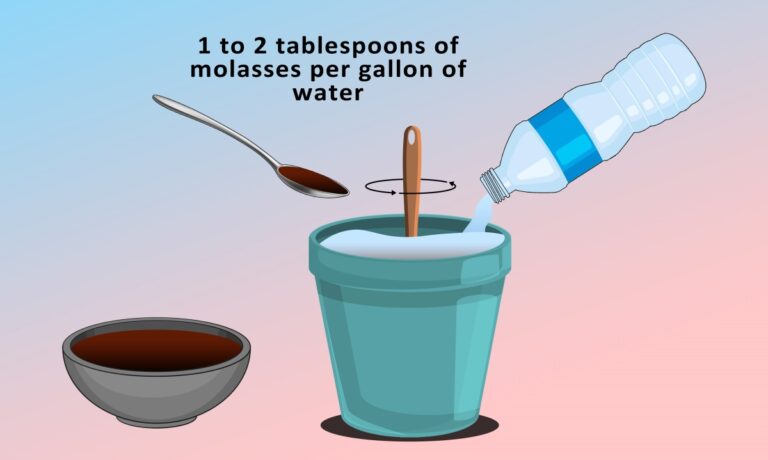 Molasses for Cannabis | Crop King Seeds