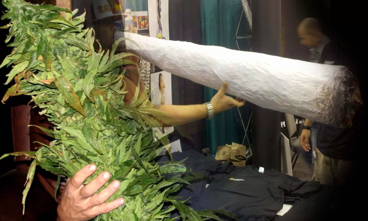 Weed World Record: Biggest Bud Ever Recorded | Crop King Seeds