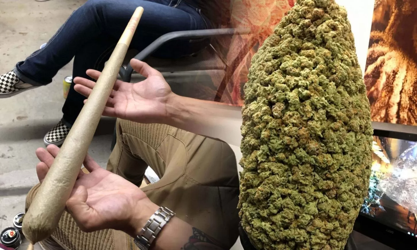 Weed World Record: Biggest Bud Ever Recorded | Crop King Seeds