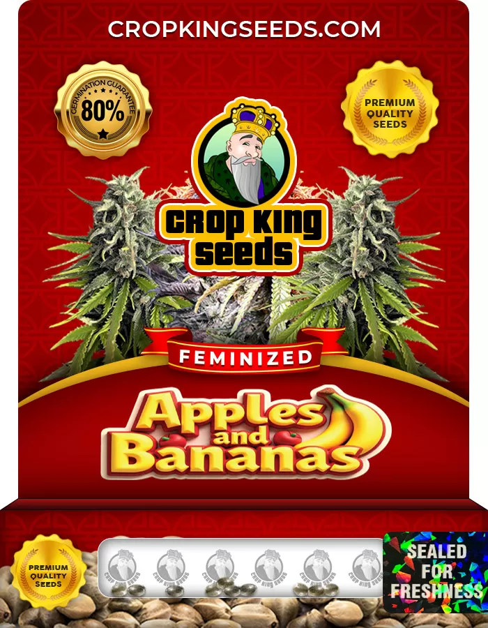 Apples and Bananas Feminized Seeds – Balanced Hybrid, 23–30 % THC