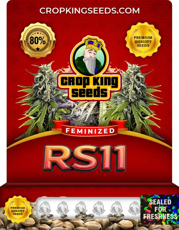 Buy RS11 Strain Feminized Marijuana Seeds | Crop King Seeds