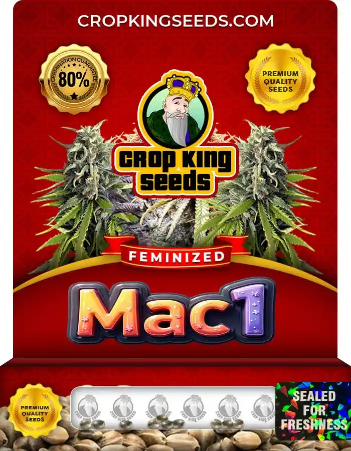 Buy Mac 1 Strain Feminized Marijuana Seeds | Crop King Seeds
