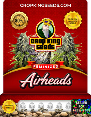Airheads Feminized Marijuana Seeds | Crop King Seeds