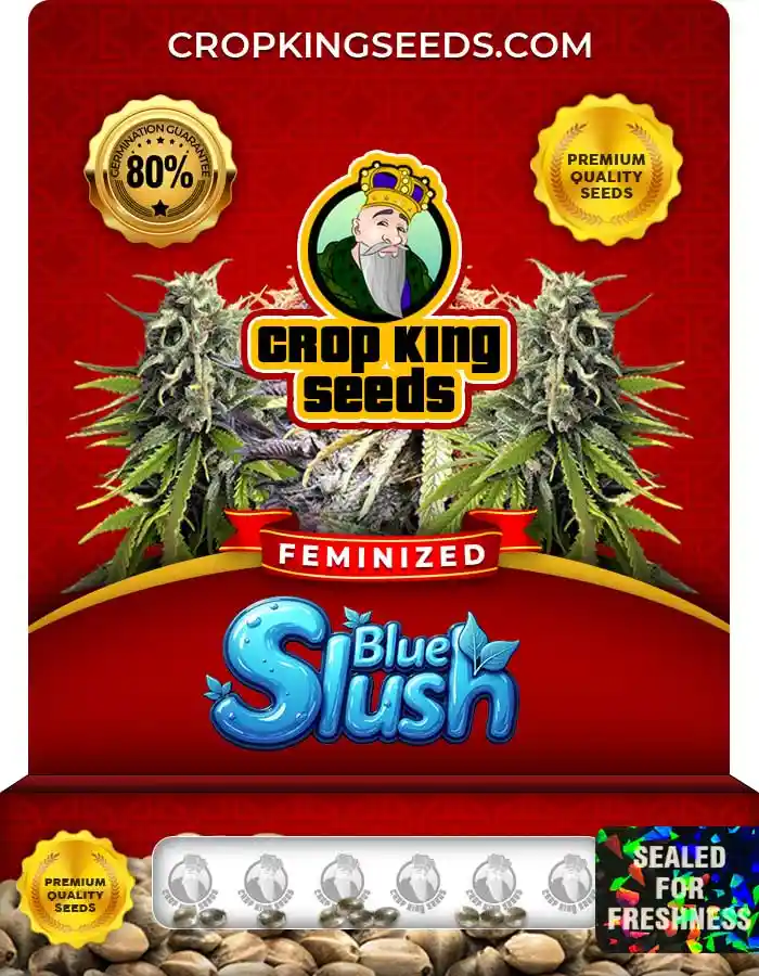 Buy Blue Slush Strain Feminized Marijuana Seeds | Crop King Seeds
