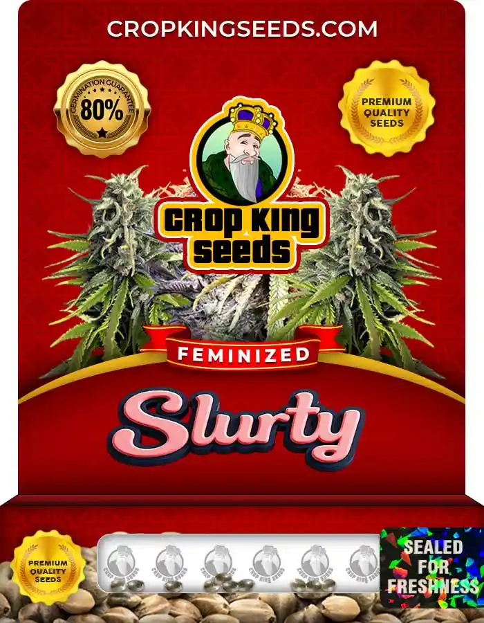 Buy Slurty Strain Feminized Marijuana Seeds | Crop King Seeds