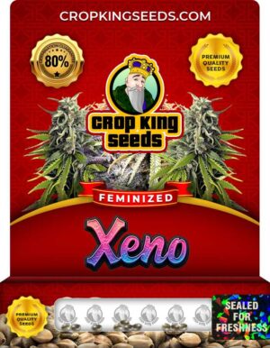 Buy Xeno Strain Feminized Marijuana Seeds | Crop King Seeds
