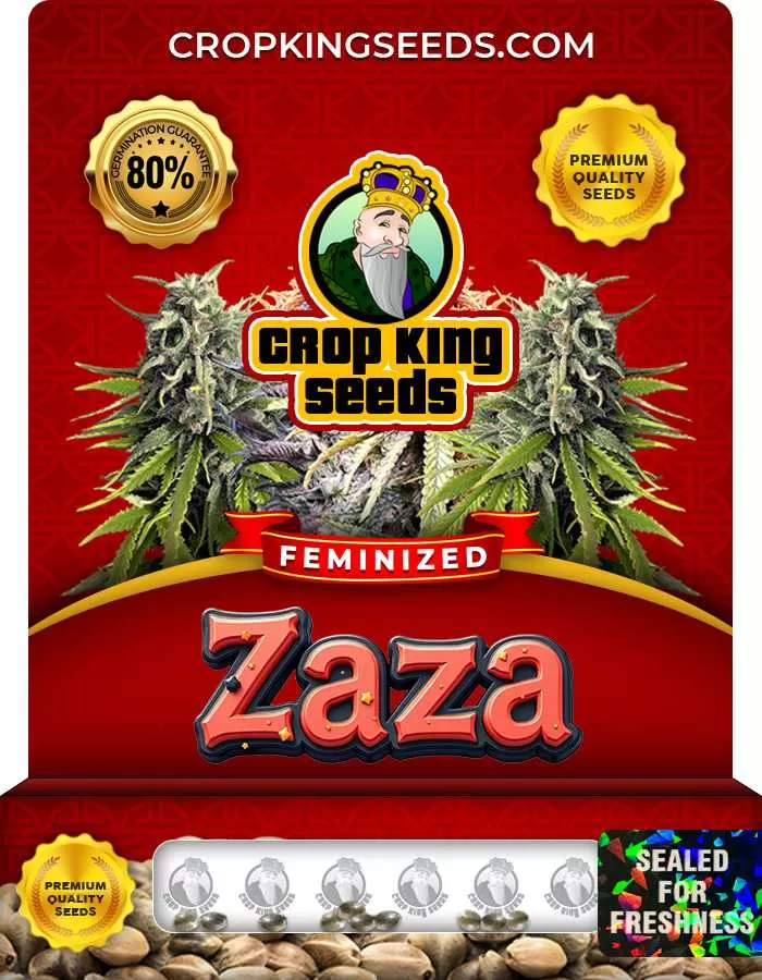 Buy Zaza Strain Feminized Marijuana Seeds | Crop King Seeds